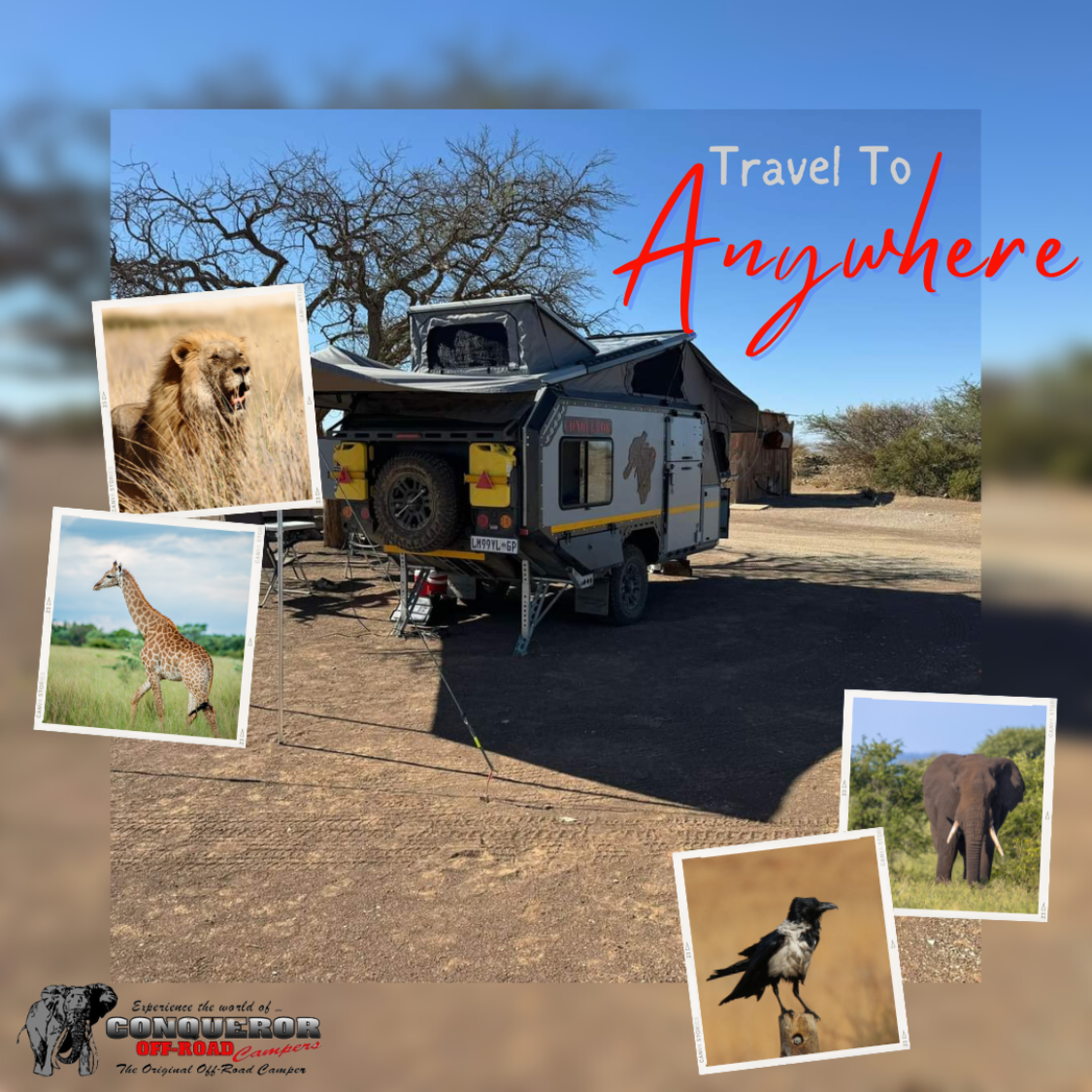 About - Conqueror SA